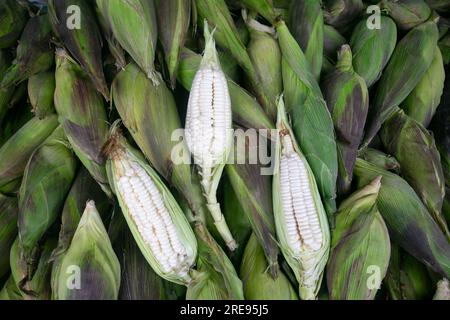 Corn at a stall in the central fruit and vegetable market in Cusco ...