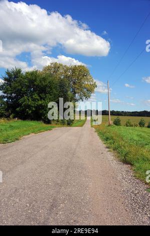 Gravel, country road disappears into the distance as it passes between ...