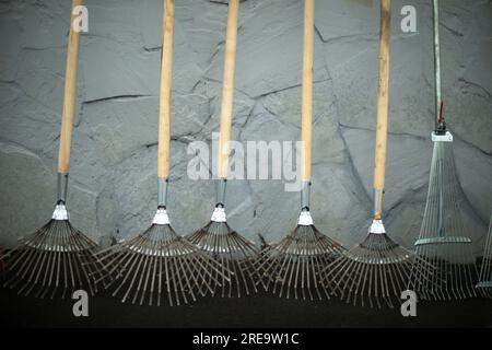 Rake in row. Garden tools on street. Rakes for harvesting leaves. Lots ...