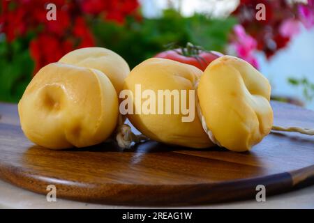 Italian semi hard handmade smoked scamorza cheese, from cow milk from ...