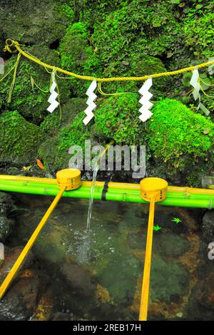 Kibune Shrine in fresh green Stock Photo - Alamy