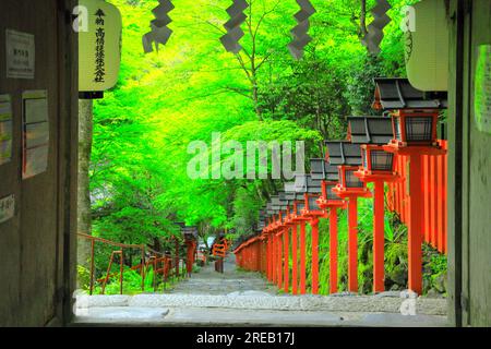 Kibune Shrine in fresh green Stock Photo - Alamy