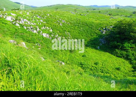 Doline in Akiyoshidai Stock Photo - Alamy