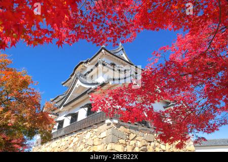 Majestic Hikone Castle in Japan, viewed through blooming cherry ...
