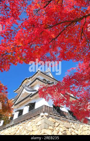 Majestic Hikone Castle in Japan, viewed through blooming cherry ...