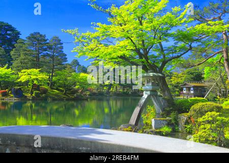 Kenrokuen Garden in fresh green Stock Photo - Alamy