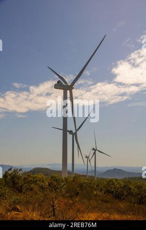 Wind Farm Towers and Turbines, Mt Edith Windfarm, North Queensland ...
