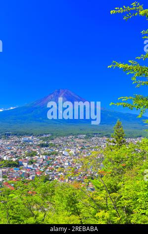 Fuji in summer and the town of Fujiyoshida seen from Niikura Sengen ...