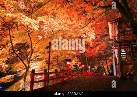 Kibune Shrine in autumn leaves Stock Photo - Alamy