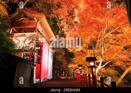 Kibune Shrine in autumn leaves Stock Photo - Alamy