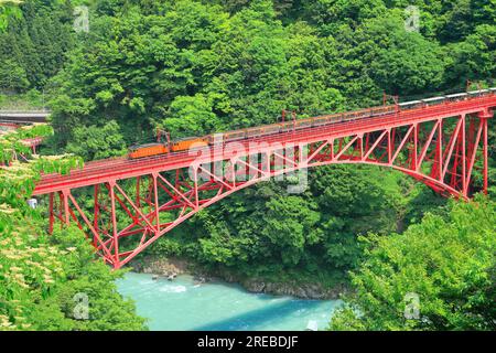 Fresh green trolley train Stock Photo - Alamy