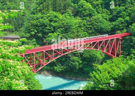 Fresh green trolley train Stock Photo - Alamy