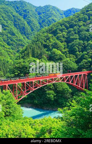 Fresh green trolley train Stock Photo - Alamy