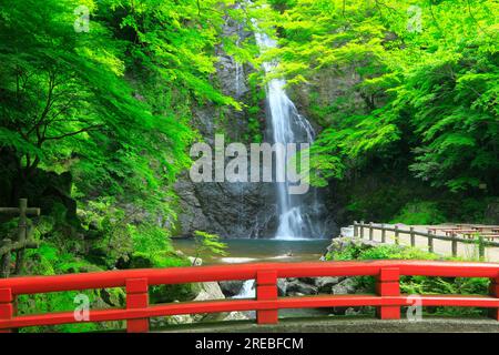Minoh Great Falls Stock Photo - Alamy