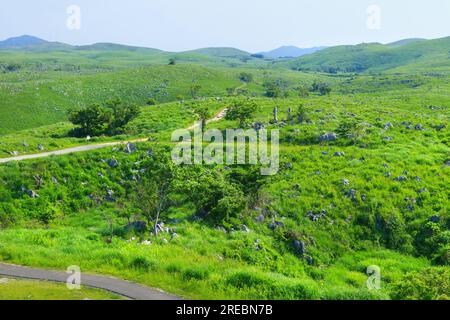 Doline in Akiyoshidai Stock Photo - Alamy