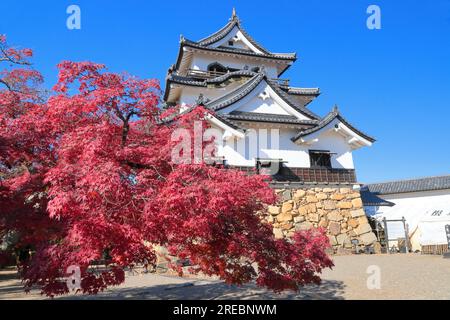 Majestic Hikone Castle in Japan, viewed through blooming cherry ...