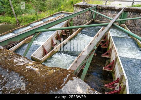 Wooden fish ladder with flowing water beside a reservoir overflow. This ...