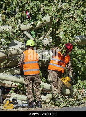 Civil protection operators at work with a chainsaw to free the cars ...