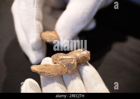 Blaubeuren, Germany. 27th July, 2023. Nicholas Conard investigates in ...