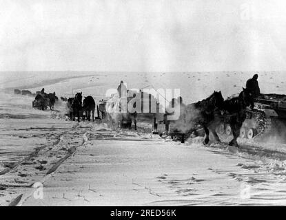 German supply column in winter 1941/42 near Smolensk in the central ...