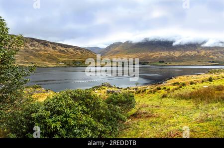 Mussel farming in Killary Fjord, or a.k.a. Killary Harbour, situated in ...
