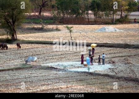 Cropping or crofting agriculture in India. Small private fields ...