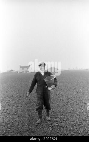 Farmer sowing seeds by hand. Walter Howling of Sandygate Lane in his ...
