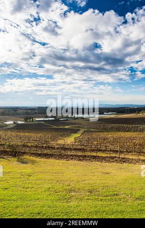 Hunter Valley Landscape in Australia Stock Photo - Alamy