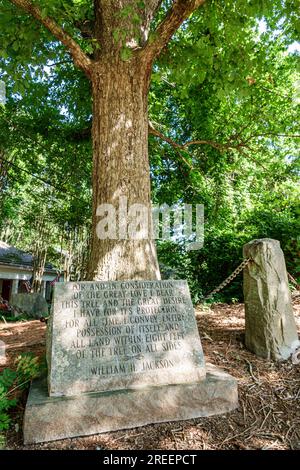 The 'Tree That Owns Itself' in Athens, Georgia, is a white oak (Quercus ...