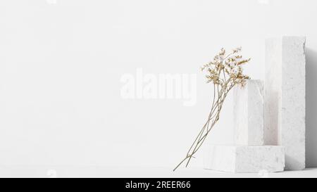 white still life composition. Resolution and high quality beautiful ...