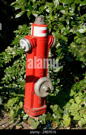 Red hydrant, Germany Stock Photo - Alamy