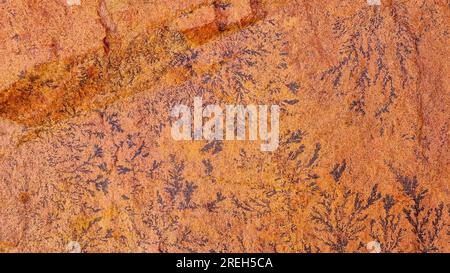 naturally occurring Manganese concentration in Sinai High Plateau ...