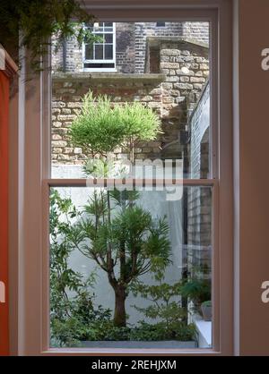 Shop Interior. Niwaki Store London, London, United Kingdom. Architect: Jones Neville, 2021 Stock ...