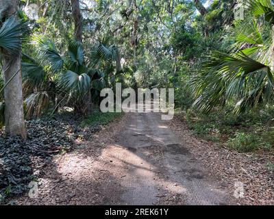 The walking trail in Trimble Park in Mount Dora, Florida on a sunny day ...