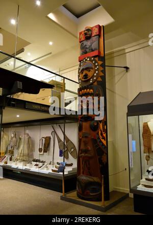 The Royal Albert Memorial Museum in Exeter Stock Photo - Alamy