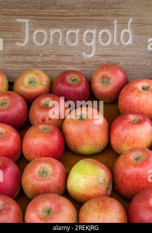 Apple tree (Malus), Jonagold variety Stock Photo - Alamy