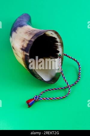 National Holidays, Chile, bull horn used for drinking (chicha en cacho ...