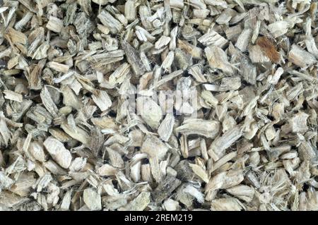 Althaea officinalis (Althaea officinalis), dried root Stock Photo - Alamy