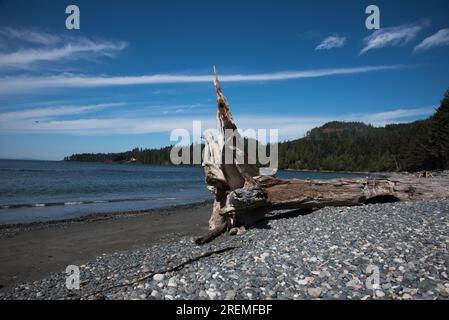 French Beach Park at the southwest park of Vancouver Island is covered ...