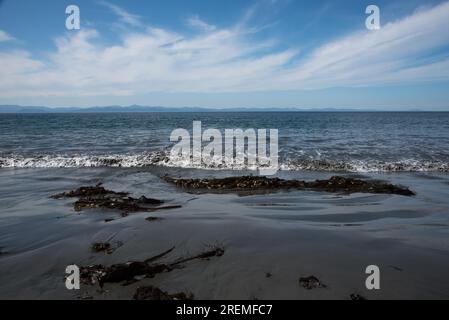 French Beach Park at the southwest park of Vancouver Island is covered ...