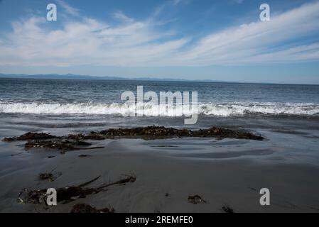 French Beach Park at the southwest park of Vancouver Island is covered ...