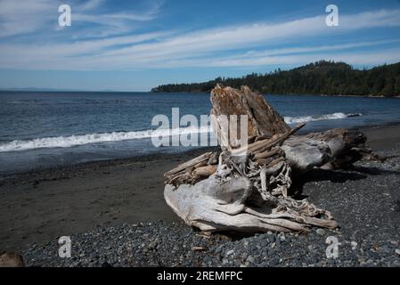 French Beach Park at the southwest park of Vancouver Island is covered ...