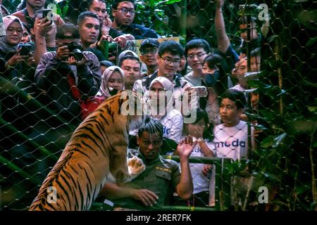 Visitors to Taman Safari Bogor, Indonesia, have their faces painted ...