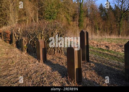 Metal rails as Anti tank obstacles and military fortified protection ...