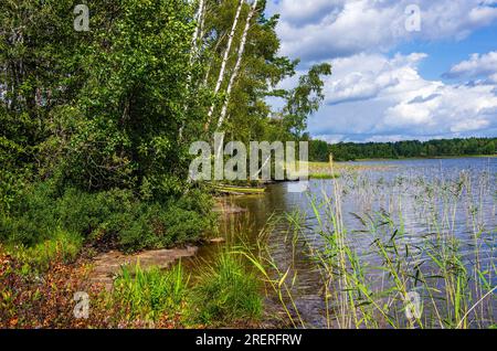 Picturesque idyll at Lake Tunasjön, Vimmerby, Smaland, Kalmar county ...
