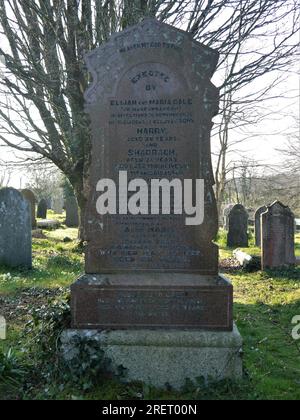 St Andrew's Church, Calstock, Cornwall - March 2022: Sallies in ...