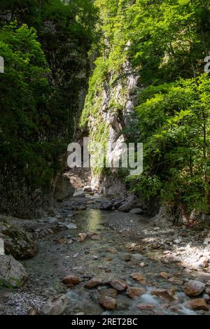 Rocky Garnitzenbach flowing through the Garnitzenklamm in the Austrian ...