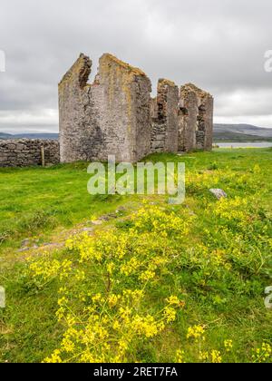 A run down deserted house in the welsh countryside with old lace ...