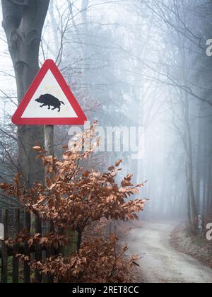 Warning sign 'Wild boars crossing the road', Netherlands, traffic sign ...