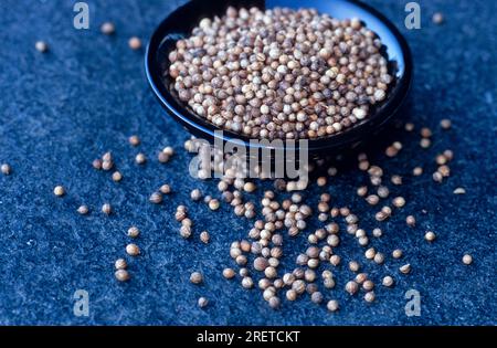 Corianderseeds (Coriandrum sativum) in shell Stock Photo - Alamy